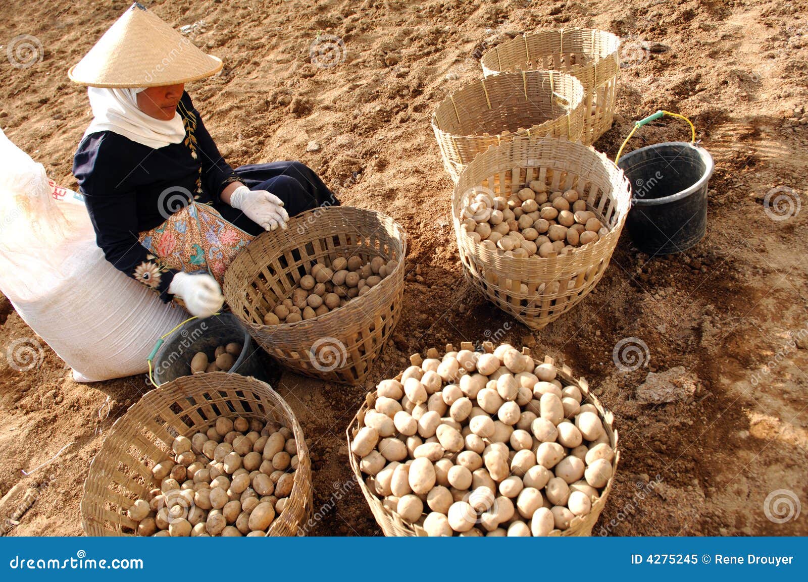 Indonesia, Java: Man and Volcanos Stock Image - Image of asia, worker ...