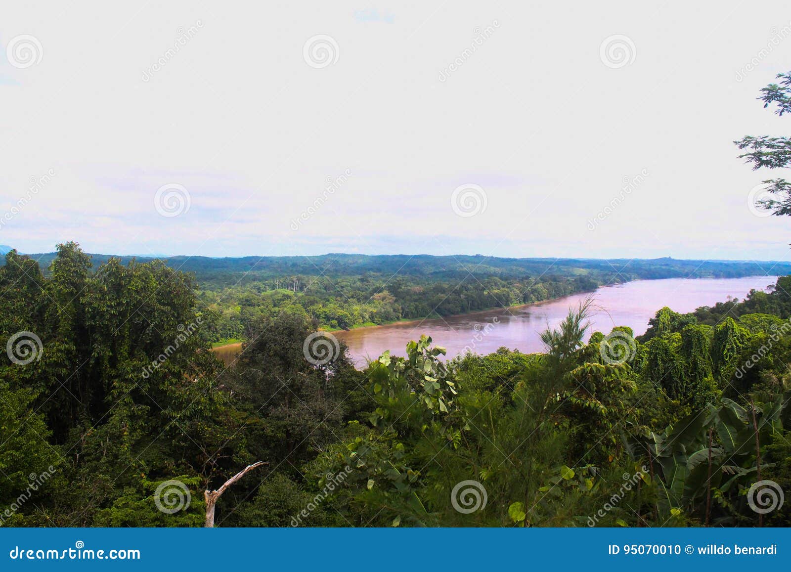 Indonesia river stock photo. Image of kapuas, loch, highland - 95070010
