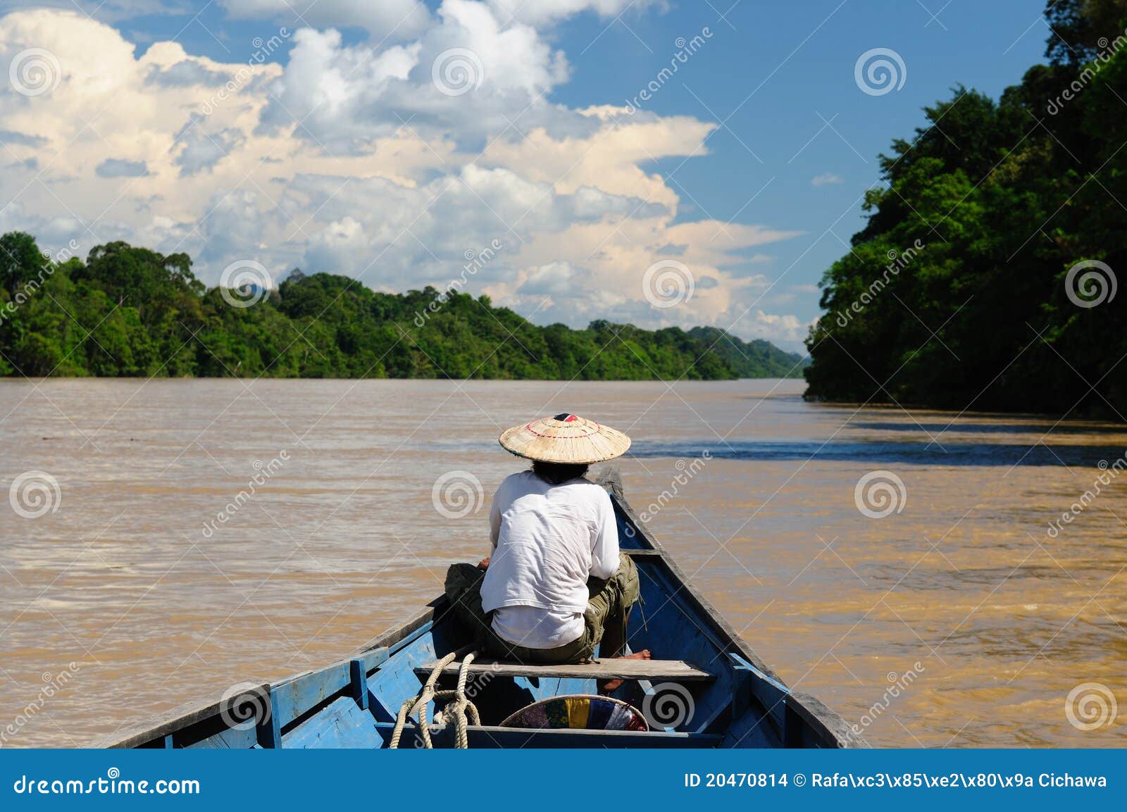Indonesia - Tropical Jungle on the River, Borneo Editorial Stock Image ...