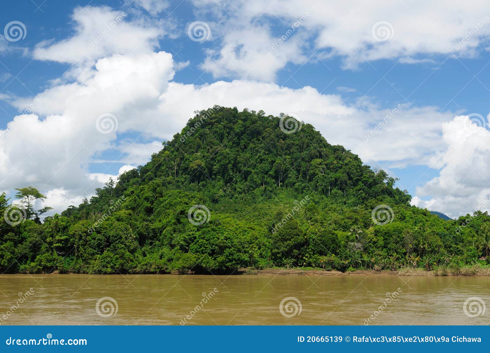 Indonesia - Tropical Jungle on the River, Borneo Stock Image - Image of ...