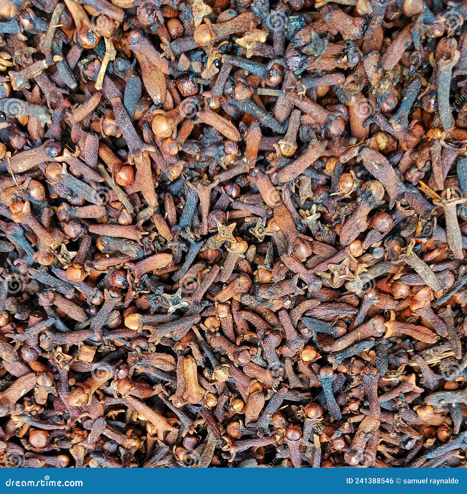 Indonesian Aromatic Cloves stock photo. Image of pattern - 241388546