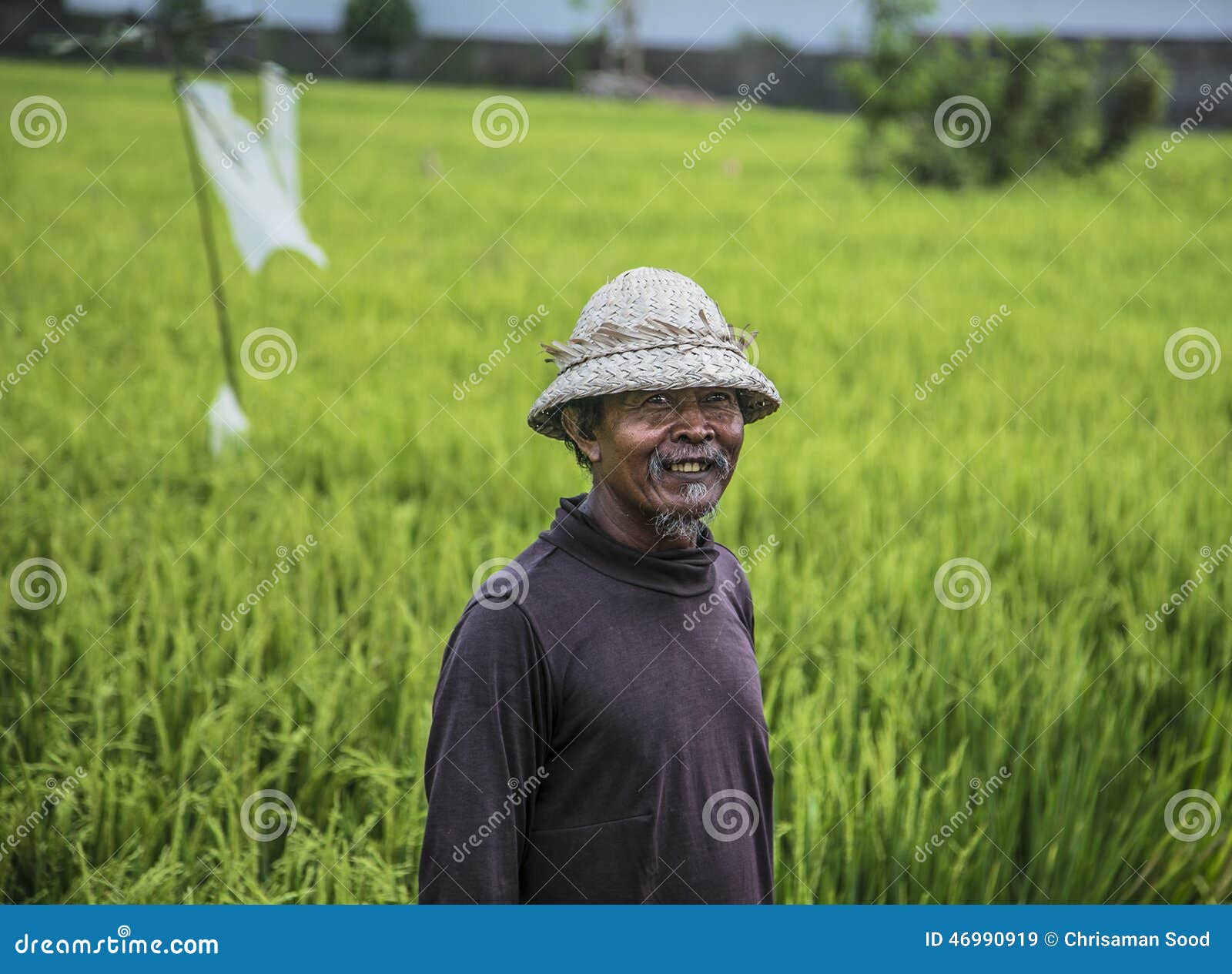 Indonesian Farmer editorial stock image. Image of asia - 46990919
