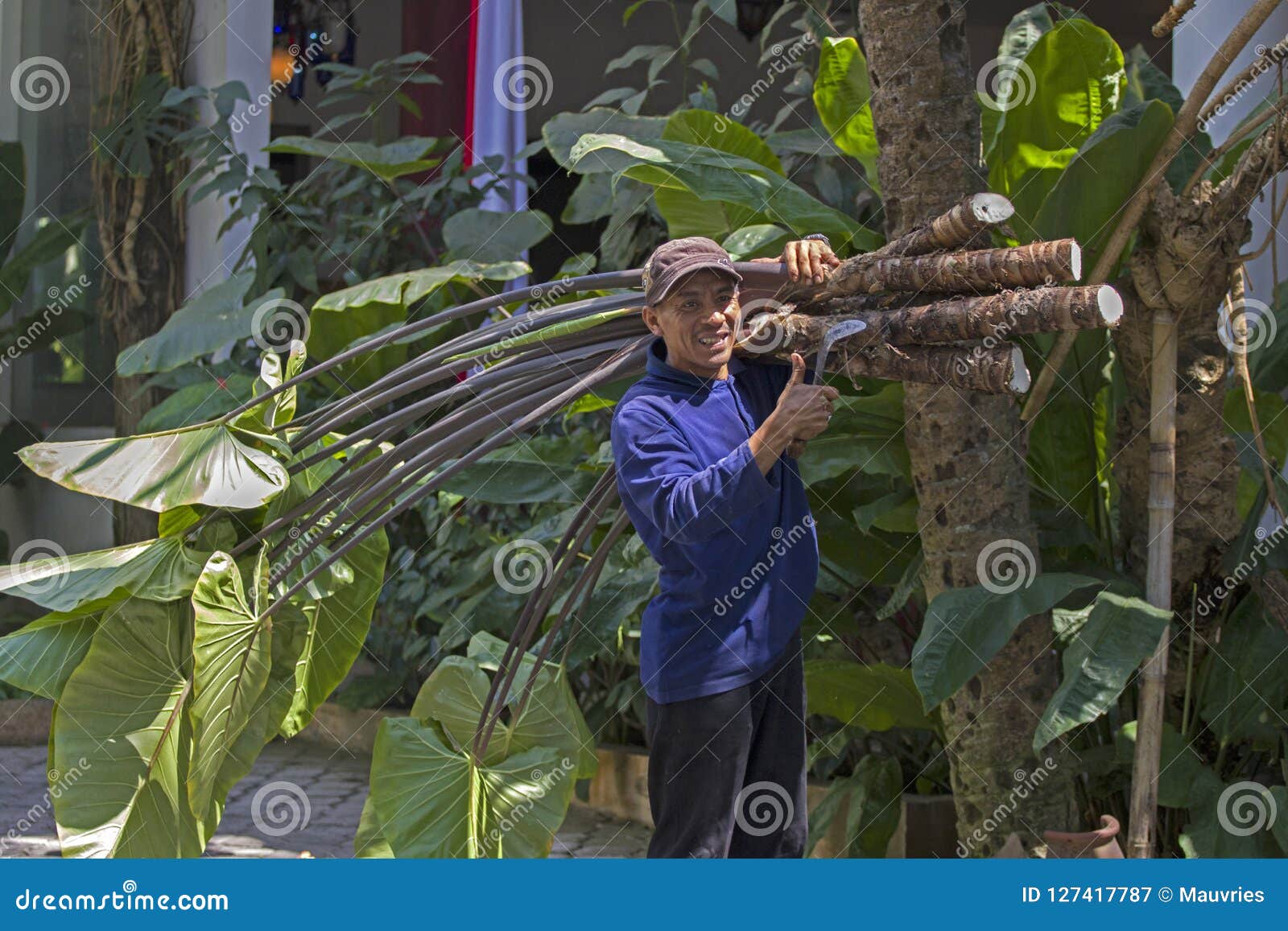 Indonesian Farmer Carrying Seaweed Collected From His Sea Farm To House ...