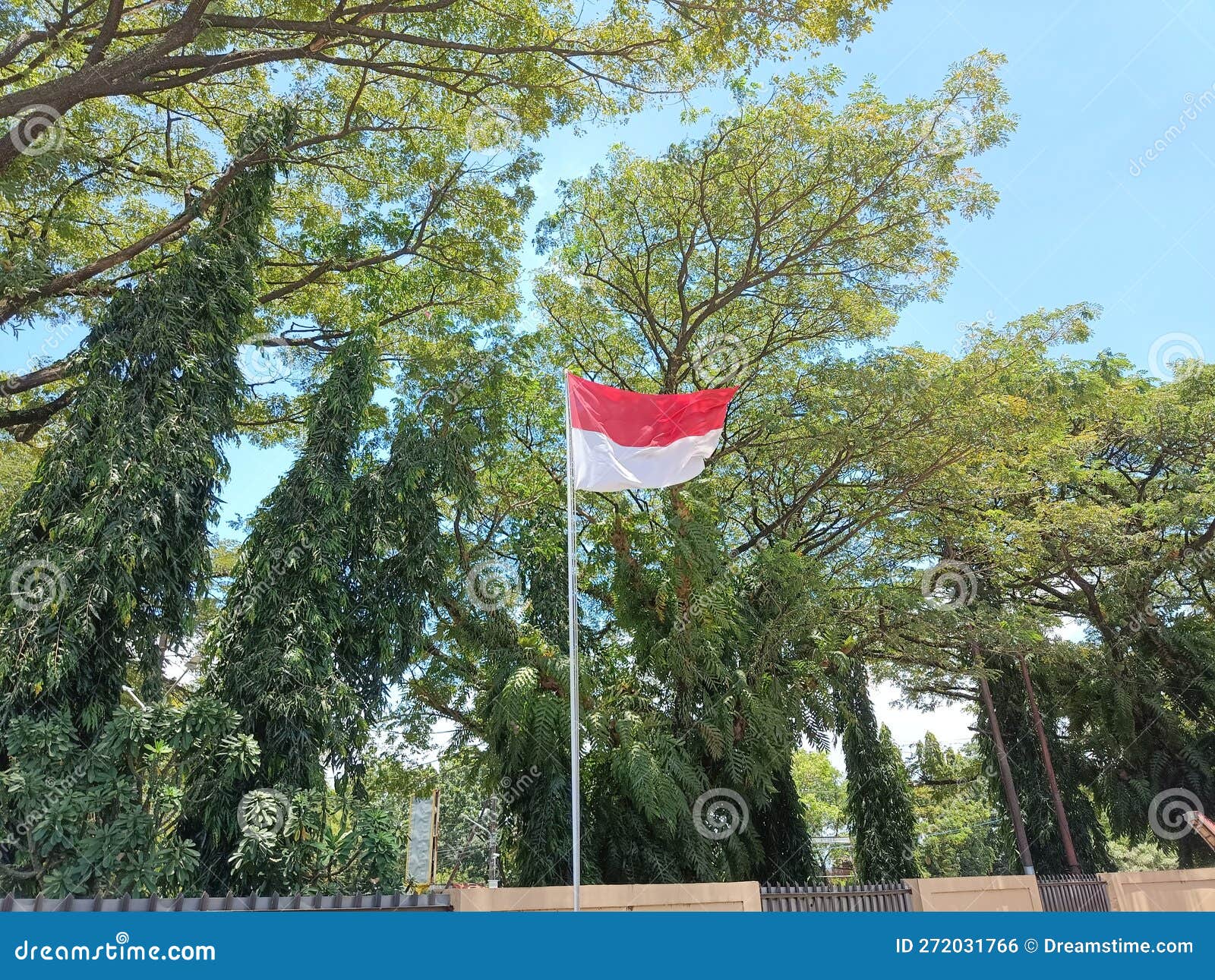 Indonesian Flag in the Middle of the Forest Stock Photo - Image of ...