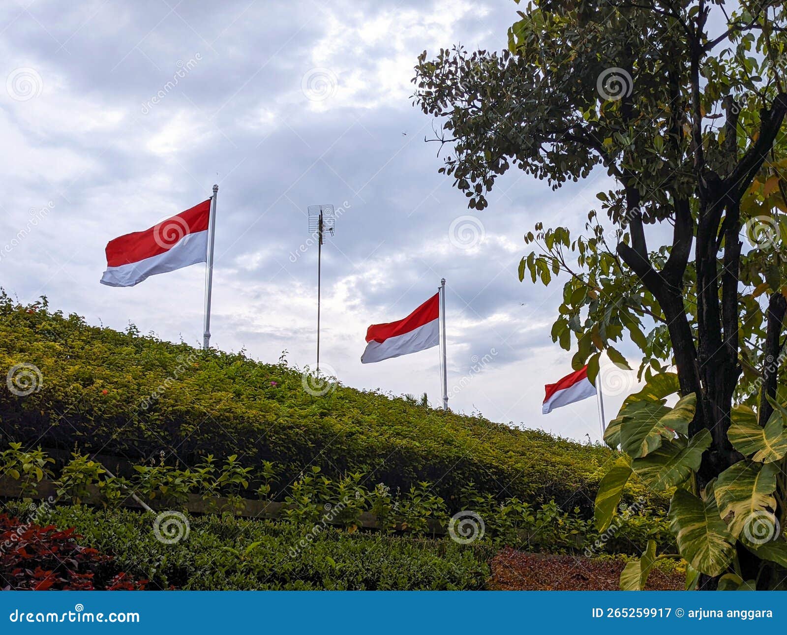 3 Indonesian Flags Fluttering on the Poles with Cloudy Sky Stock Image ...
