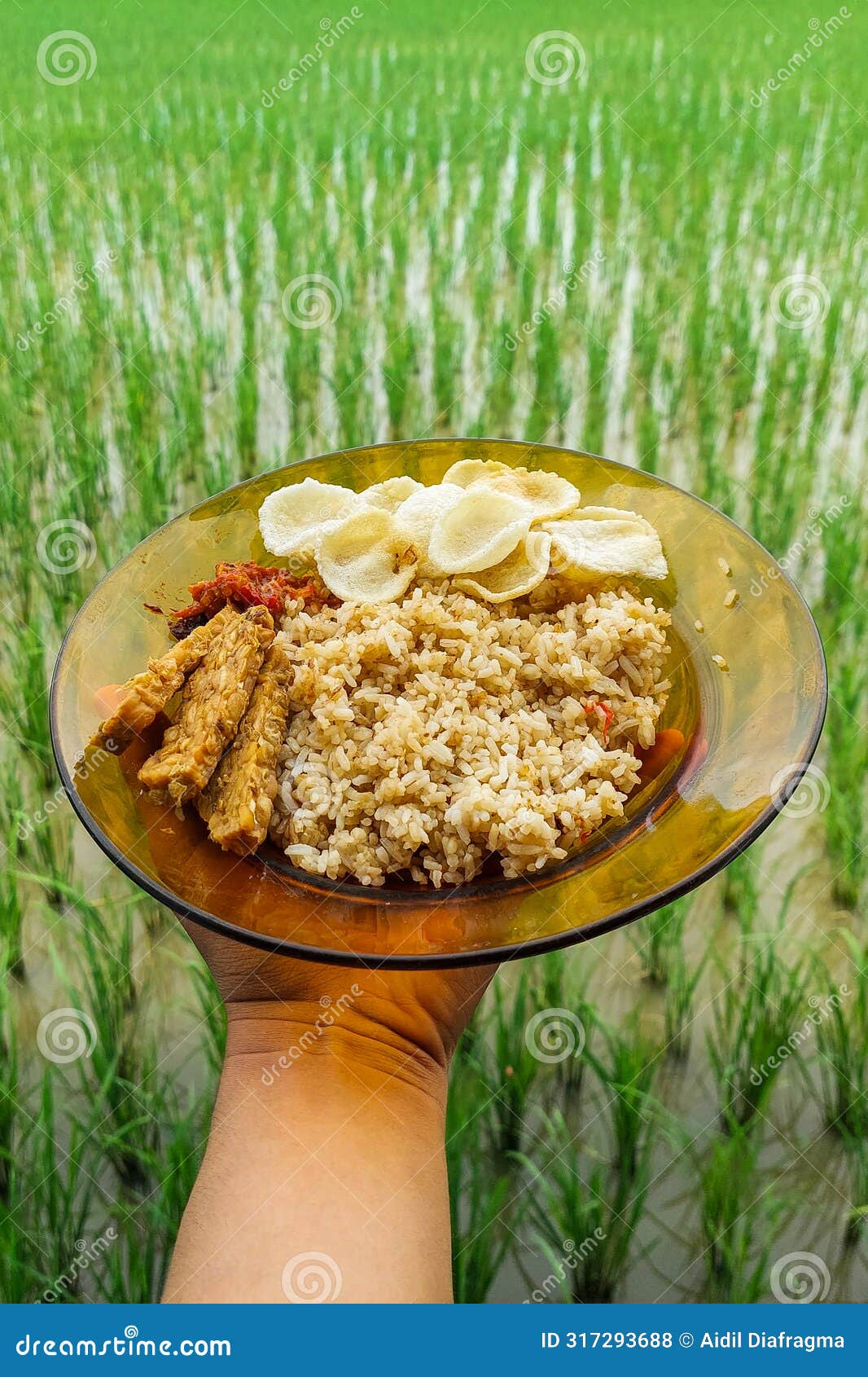 Indonesian Food - Fried Rice and Side Dishes Stock Photo - Image of ...