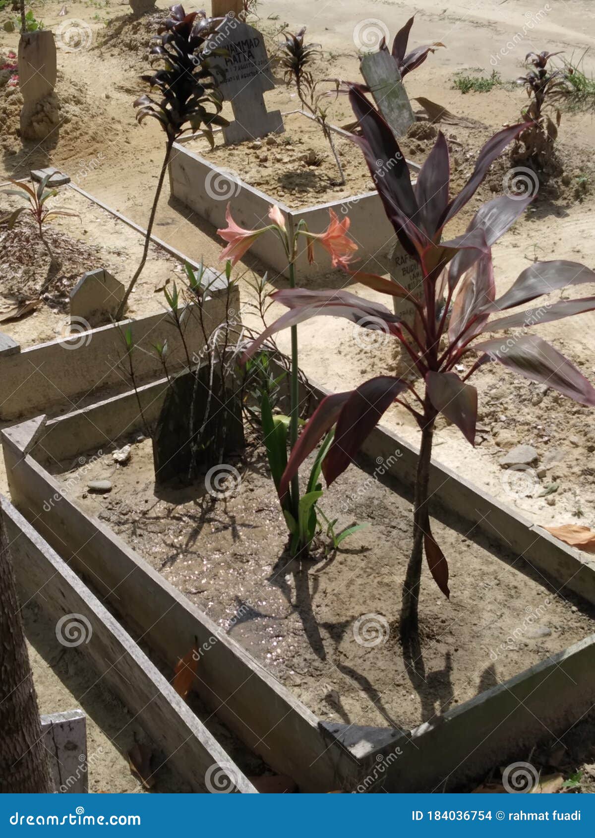 Indonesian kids grave yard stock photo. Image of yard - 184036754