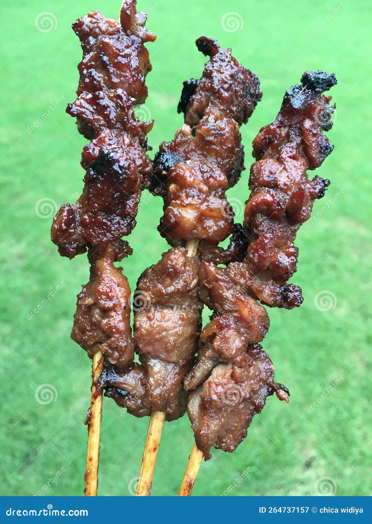 Indonesian Lamb Satay stock image. Image of common, lamb - 264737157