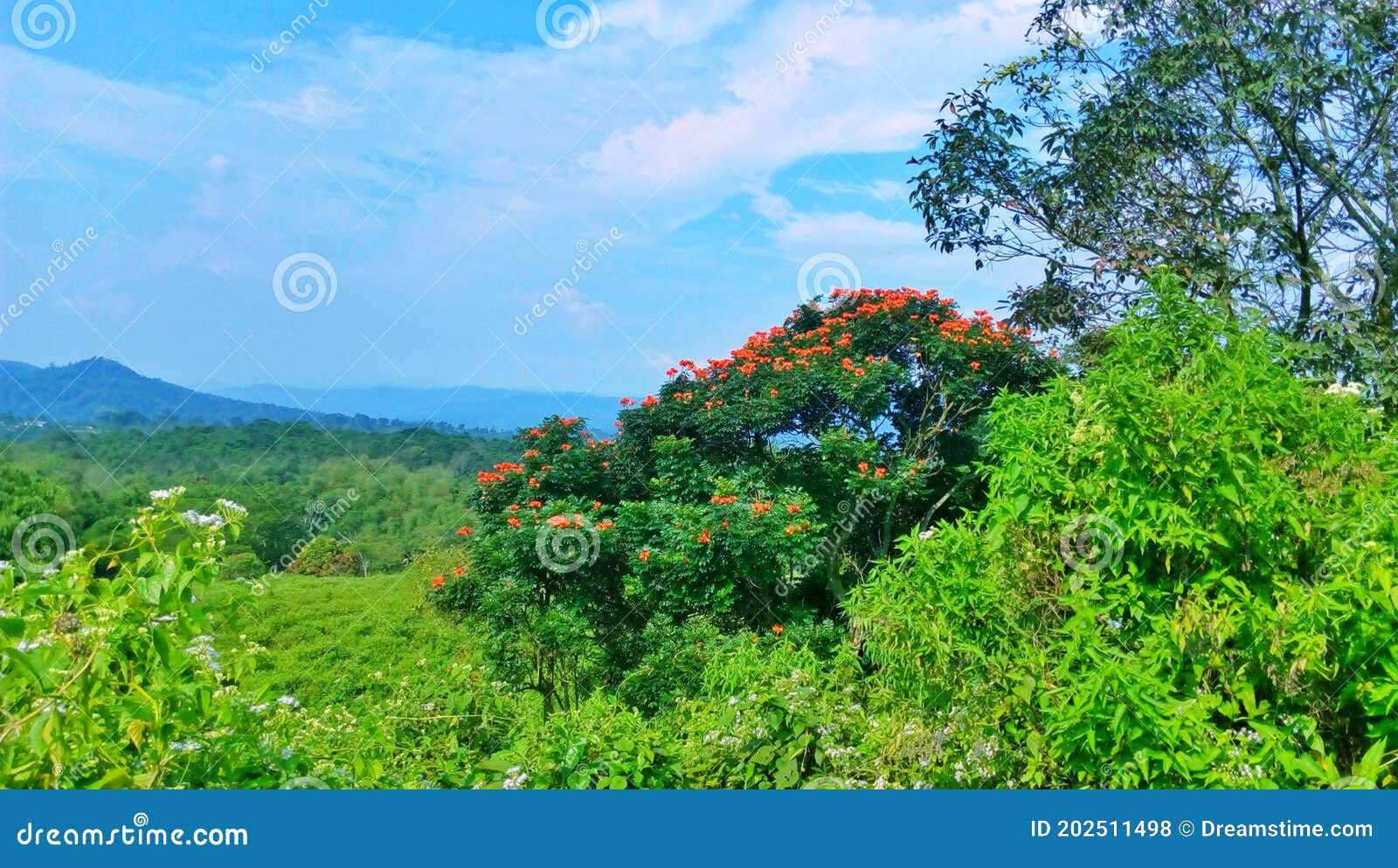 Indonesian Mountain at West Java Provinces Stock Photo - Image of hill ...