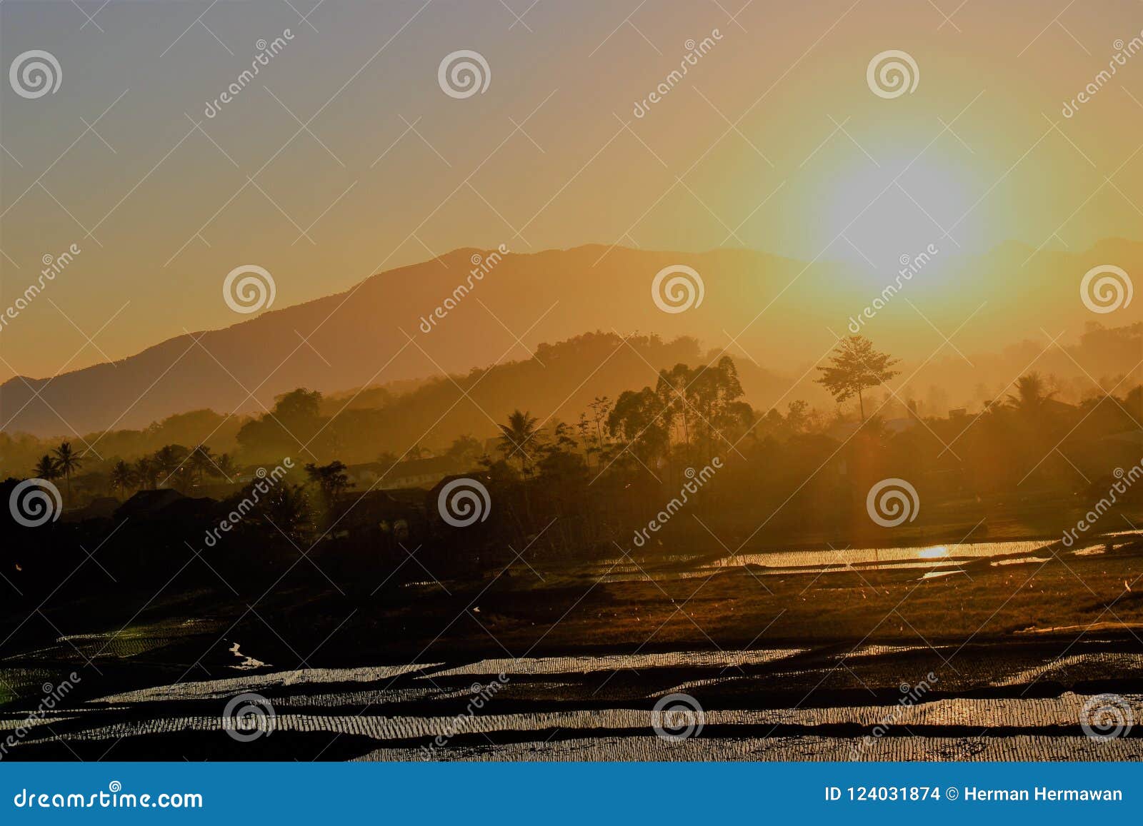 Indonesian Nature in Cipanas, West Java Stock Photo - Image of rises ...