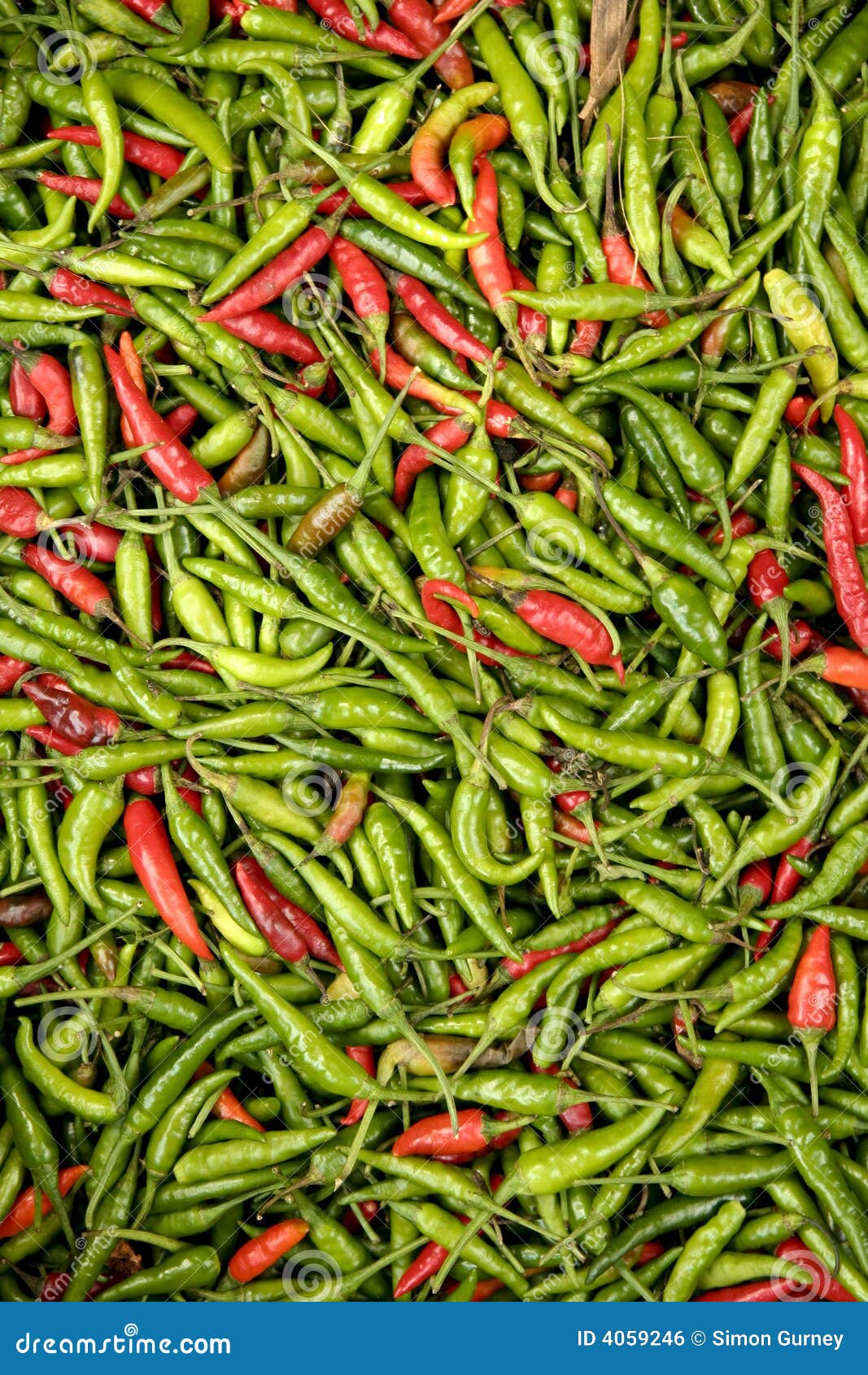 Indonesian Red and Green Chillies Background Stock Photo - Image of ...