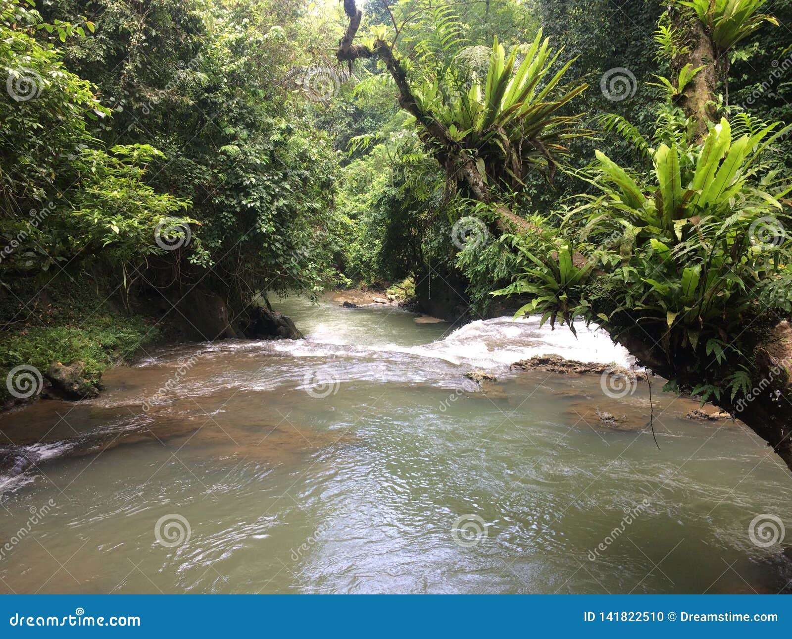 Indonesian River in the Jungle Stock Photo - Image of counties, believe ...