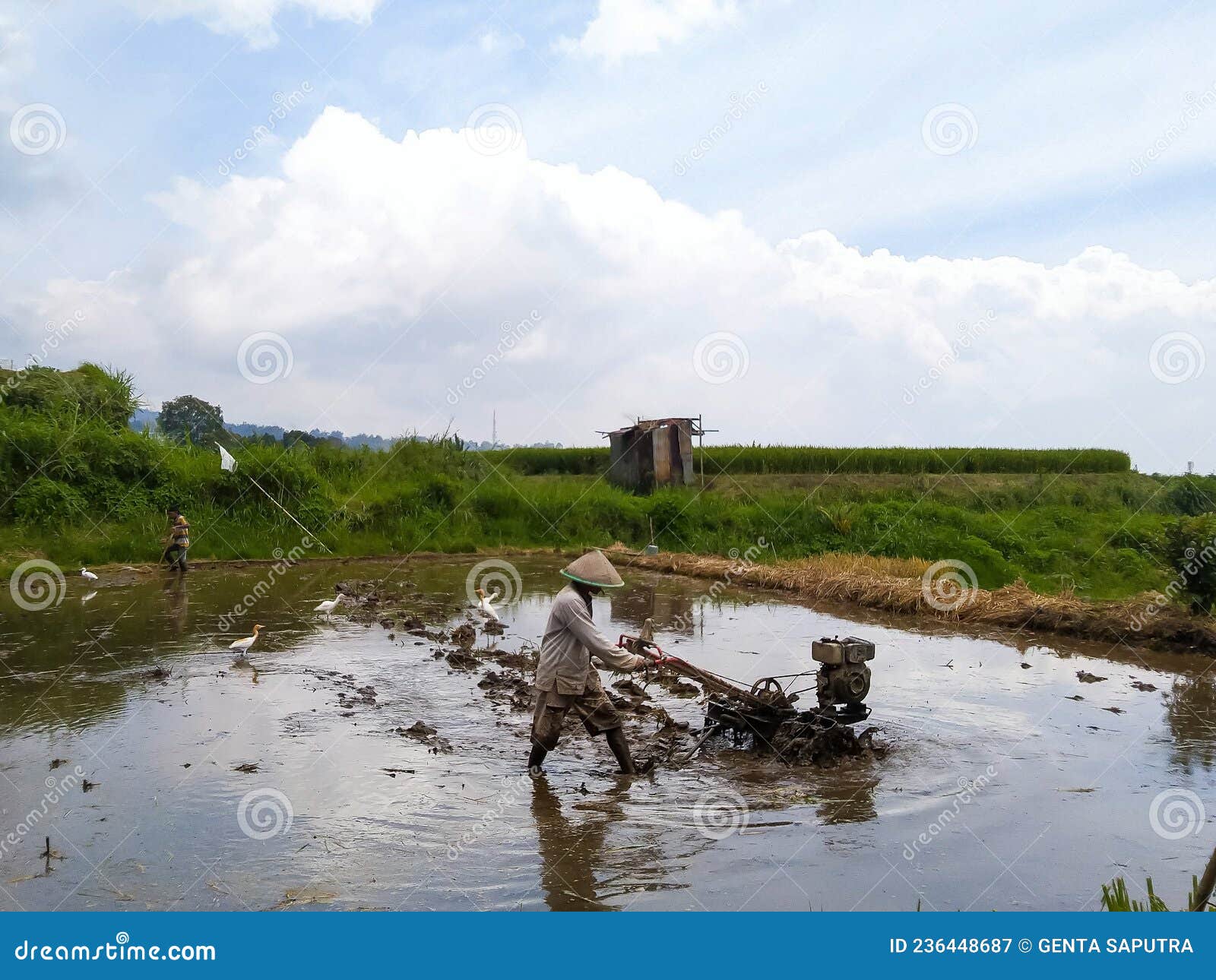 Indonesian Tradisional Farm Stock Image - Image of reservoir, shore ...
