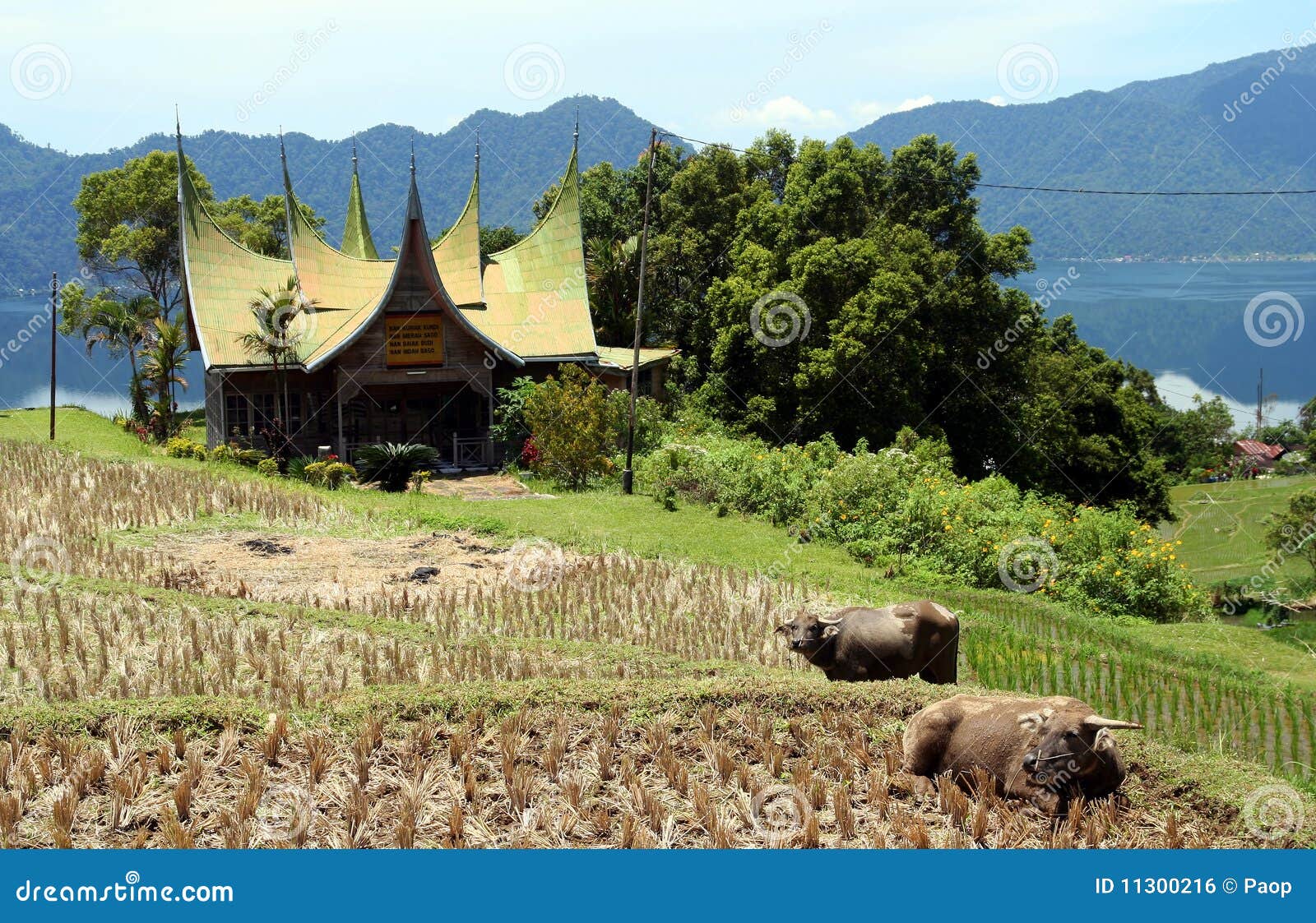 Indonesian Traditional Home Stock Photo - Image of creative, field ...
