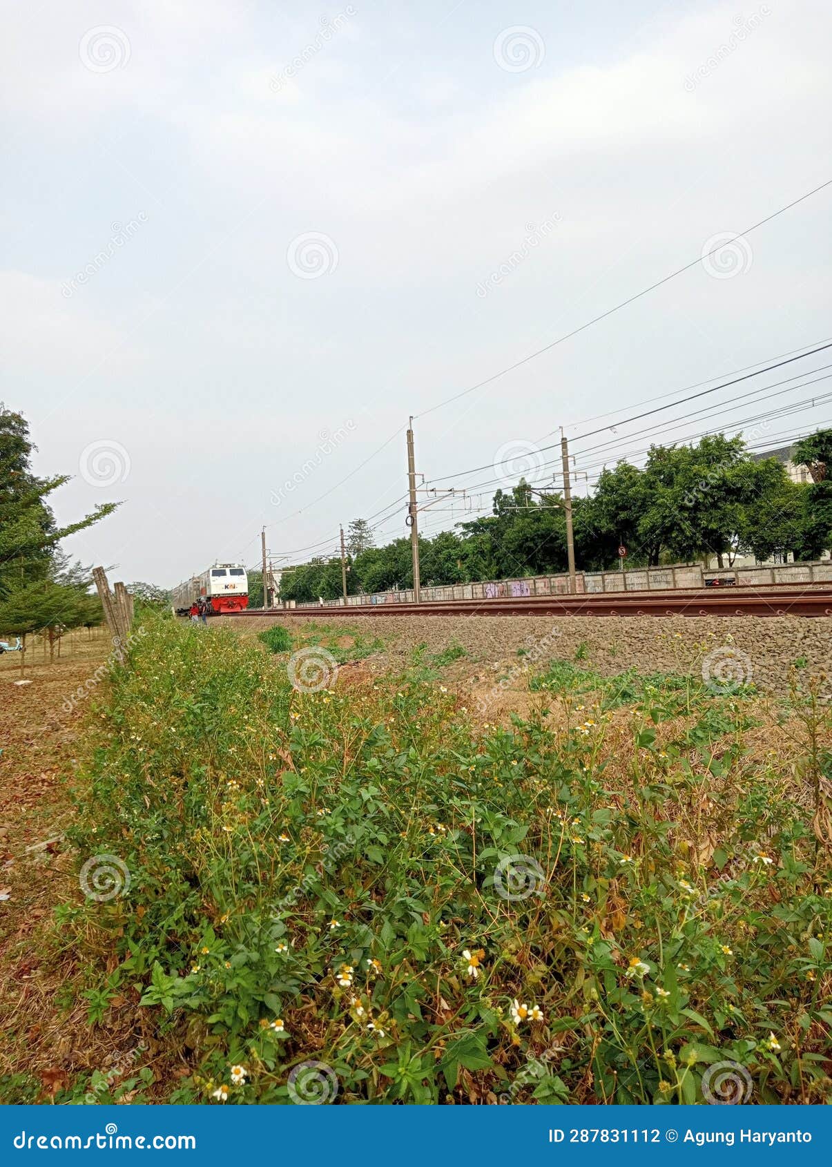 Indonesian Train in the Afternoon with Sunny Weather Editorial ...