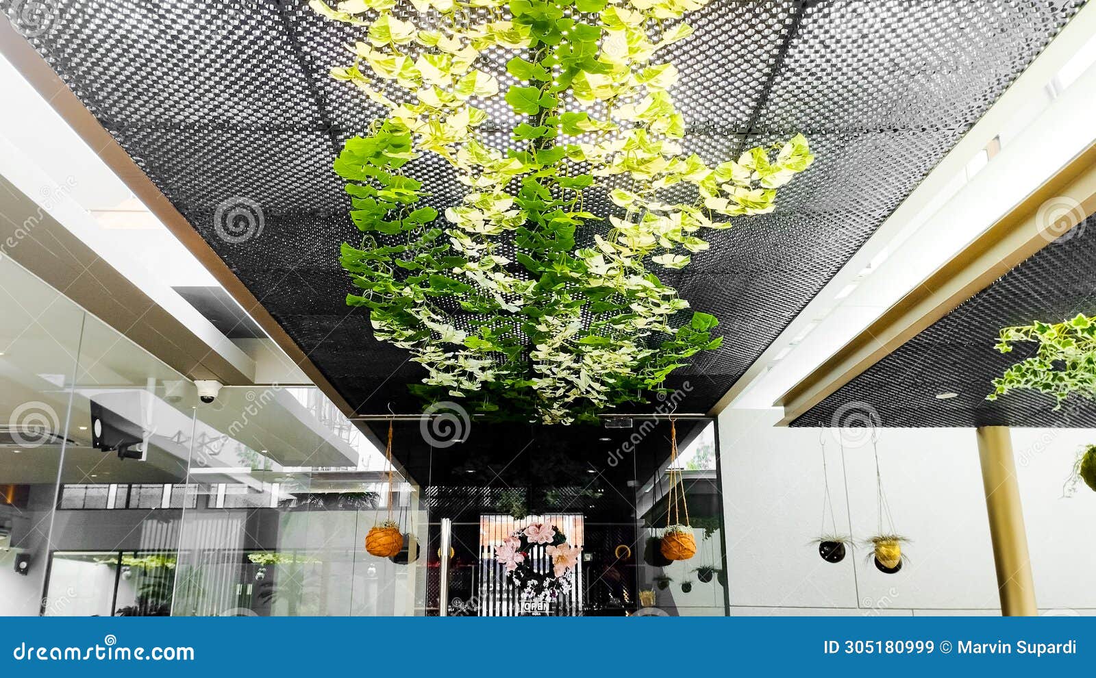 Indoor Architecture with Plants. Stock Image - Image of branch, facade ...