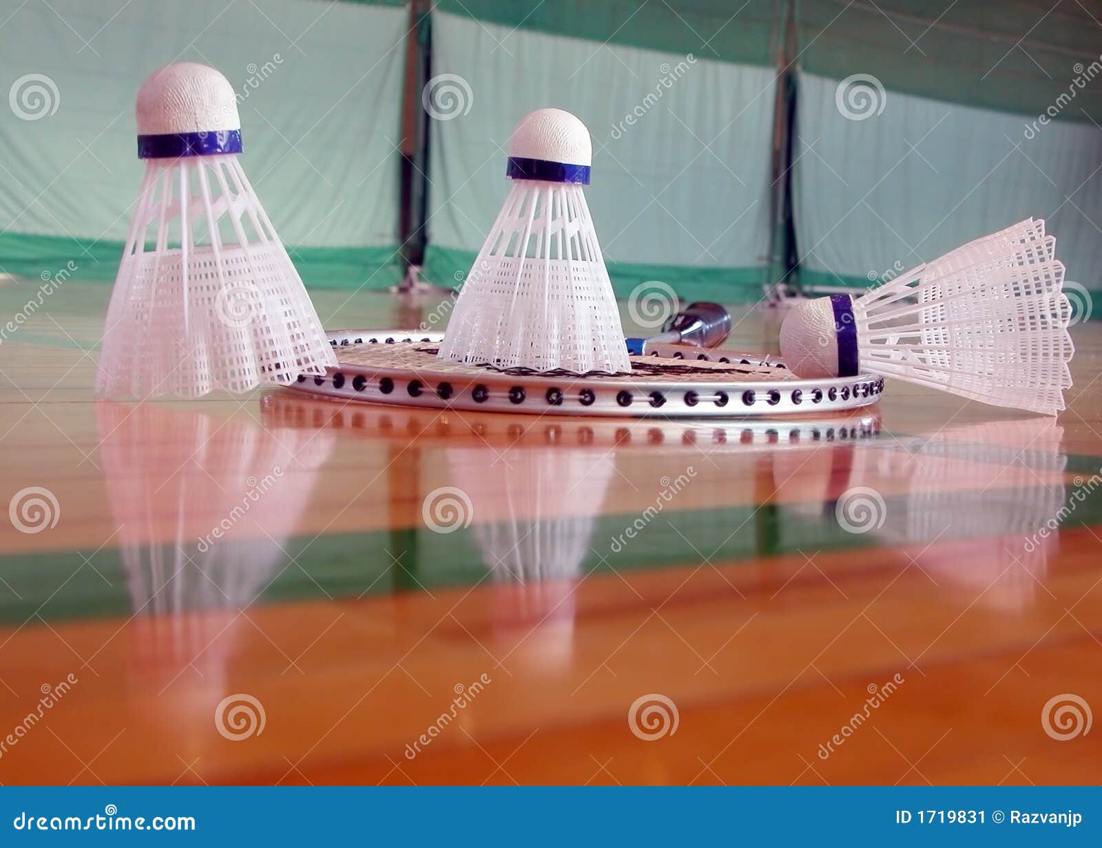 Indoor badminton stock image. Image of reflections, indoor - 1719831
