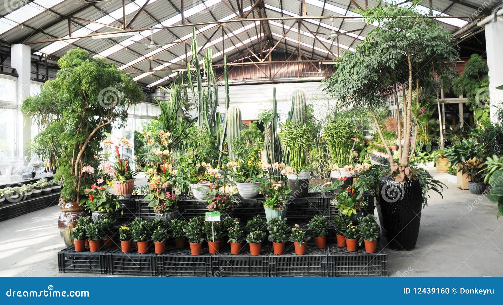 Indoor conservatory garden stock photo. Image of plant - 12439160