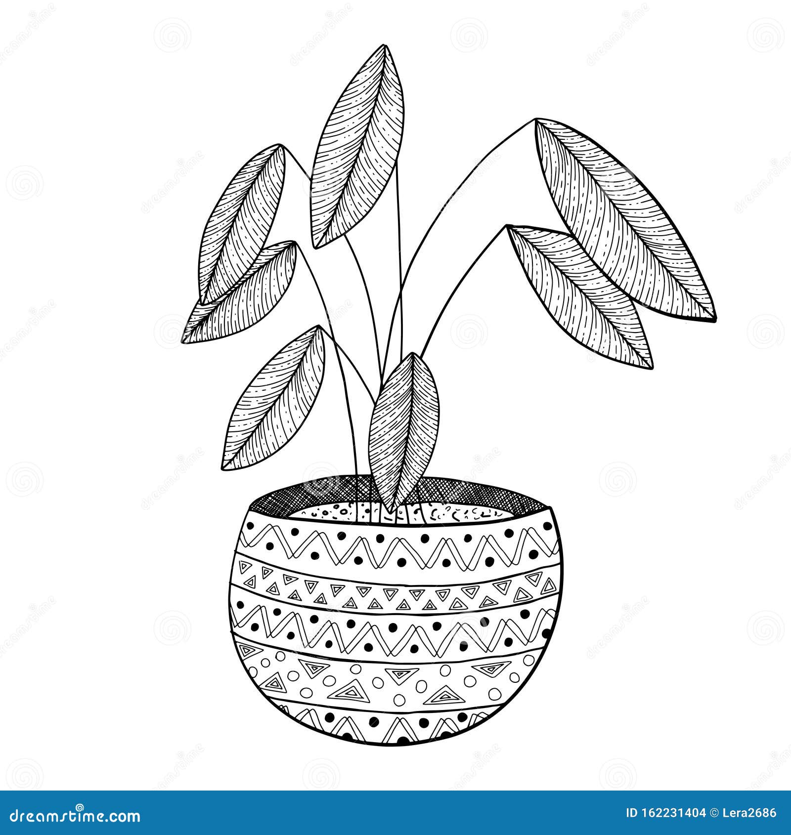 Indoor Flower In A Pot With Patterns. Hand-drawn Black And White Vector ...