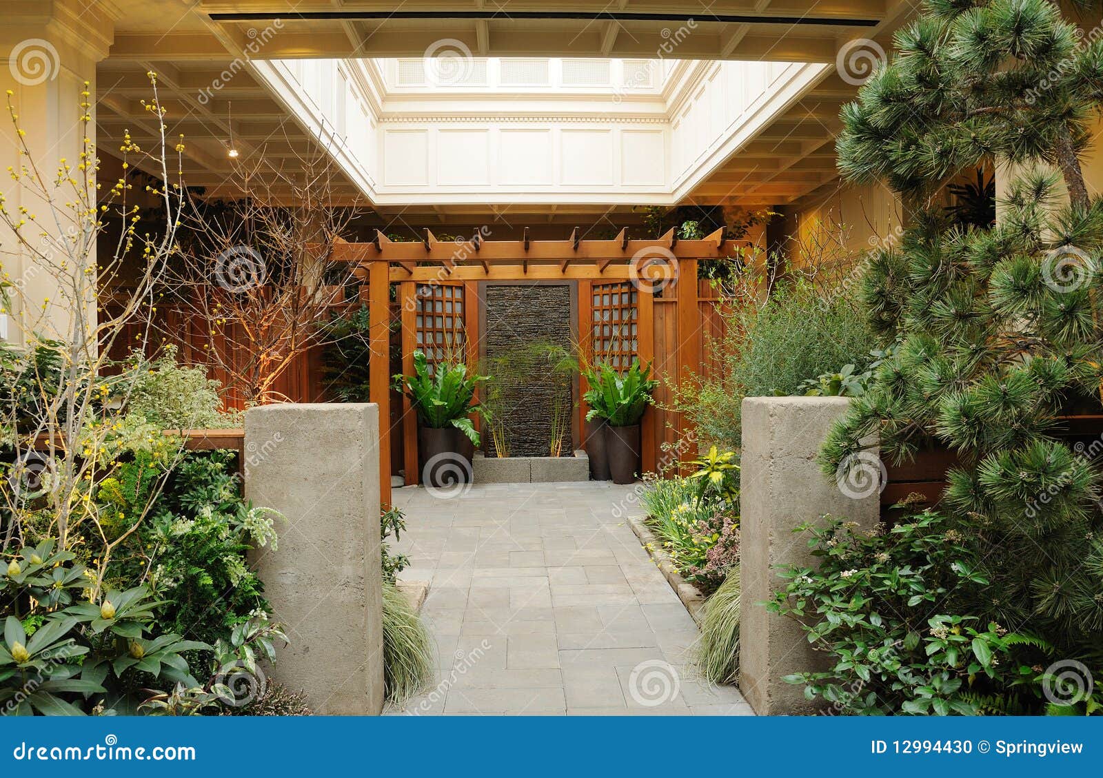 Indoor garden stock photo. Image of ornamental, indoor - 12994430