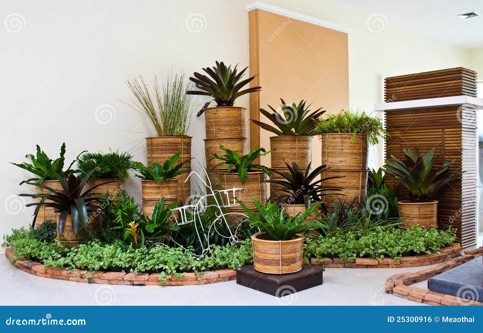 Indoor Garden for Room Corner Decoration Stock Photo - Image of glass ...