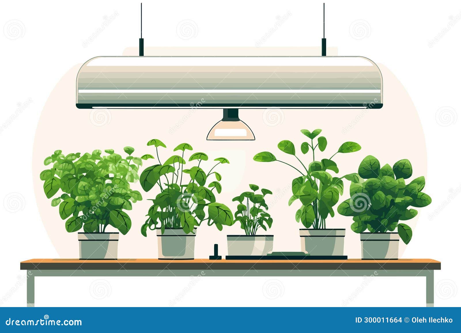 Indoor Hydroponic Garden Setup in a Modern Kitchen Isolated Vector ...