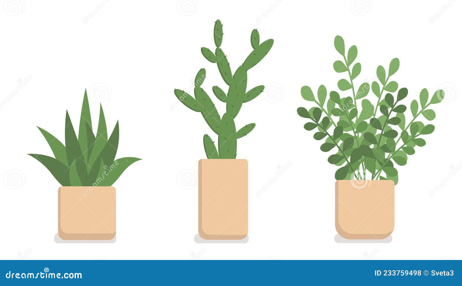 Indoor Plants In Rectangular Pots On A White Background . A Set Of ...