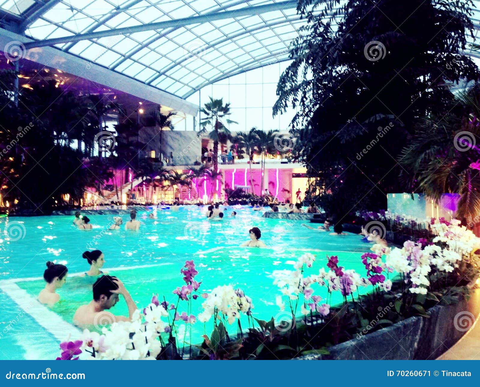 Indoor pool editorial photo. Image of pool, therme, flowers - 70260671