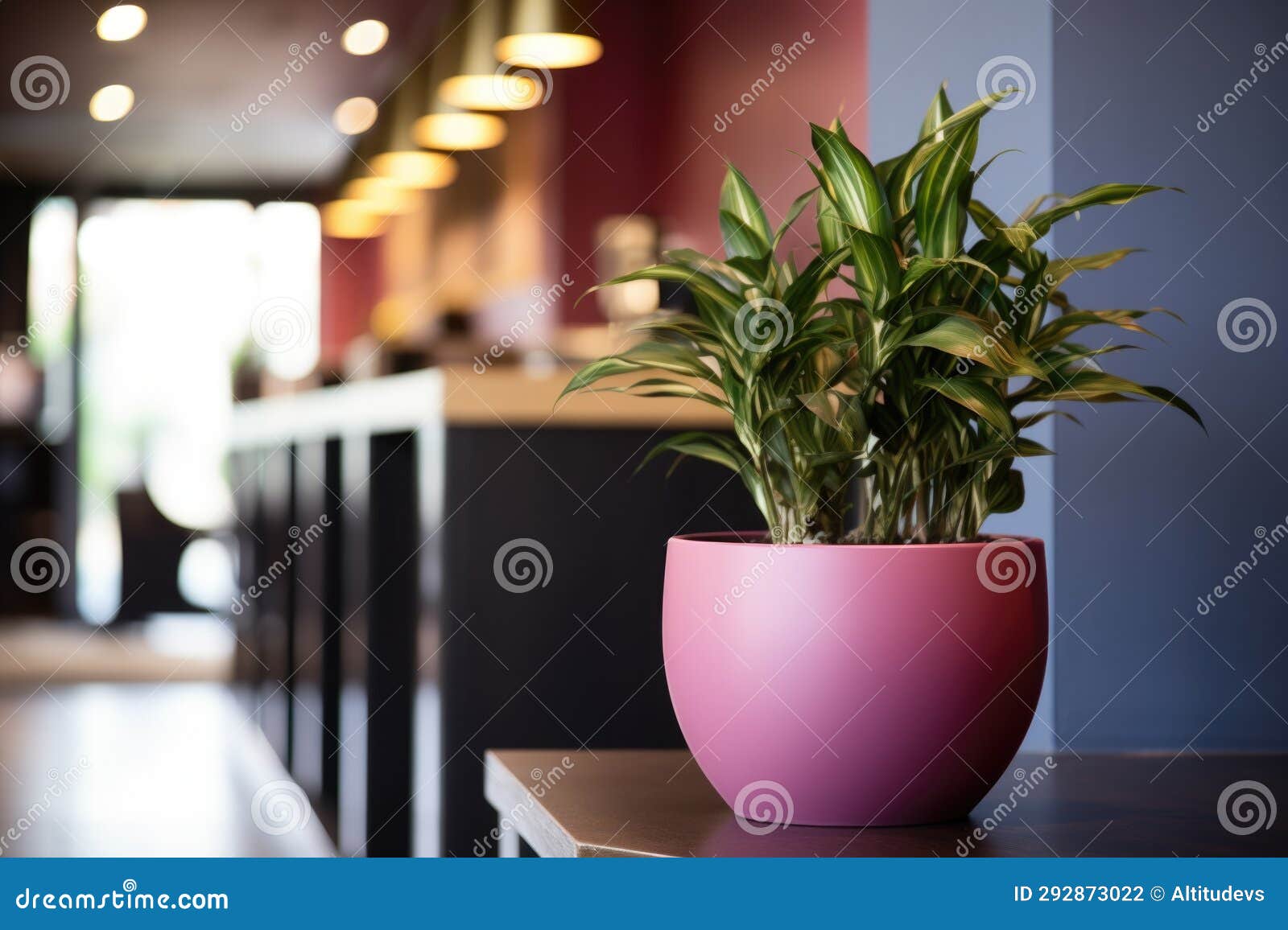 An Indoor Potted Plant beside the Reception Desk Stock Photo - Image of ...