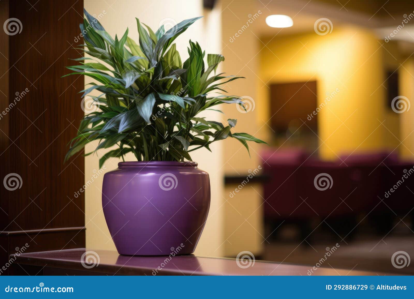 An Indoor Potted Plant beside the Reception Desk Stock Image - Image of ...