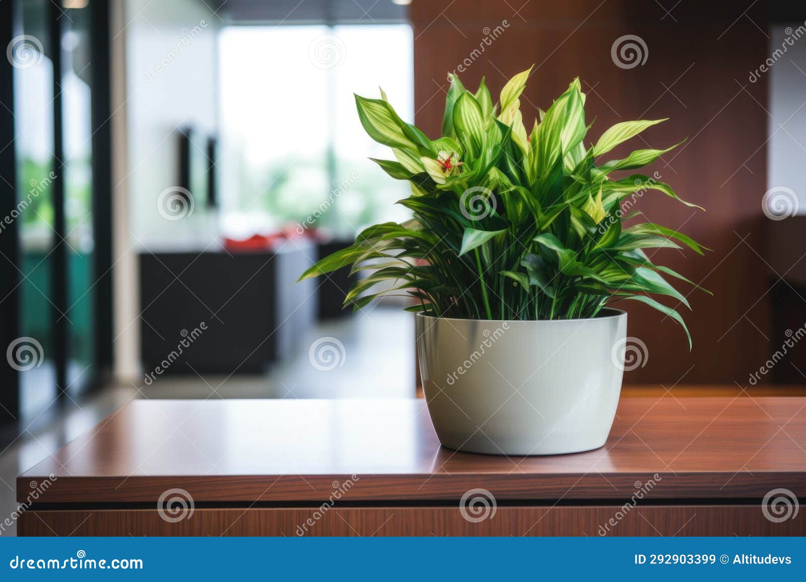 An Indoor Potted Plant beside the Reception Desk Stock Image - Image of ...