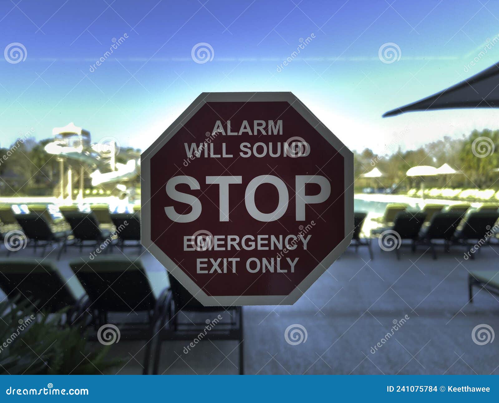Indoor Stop Sign stock photo. Image of isolated, caution - 241075784