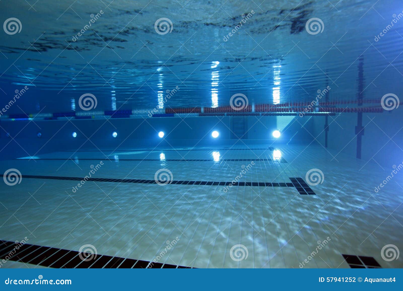 Indoor swimming pool stock photo. Image of plunge, bathing - 57941252