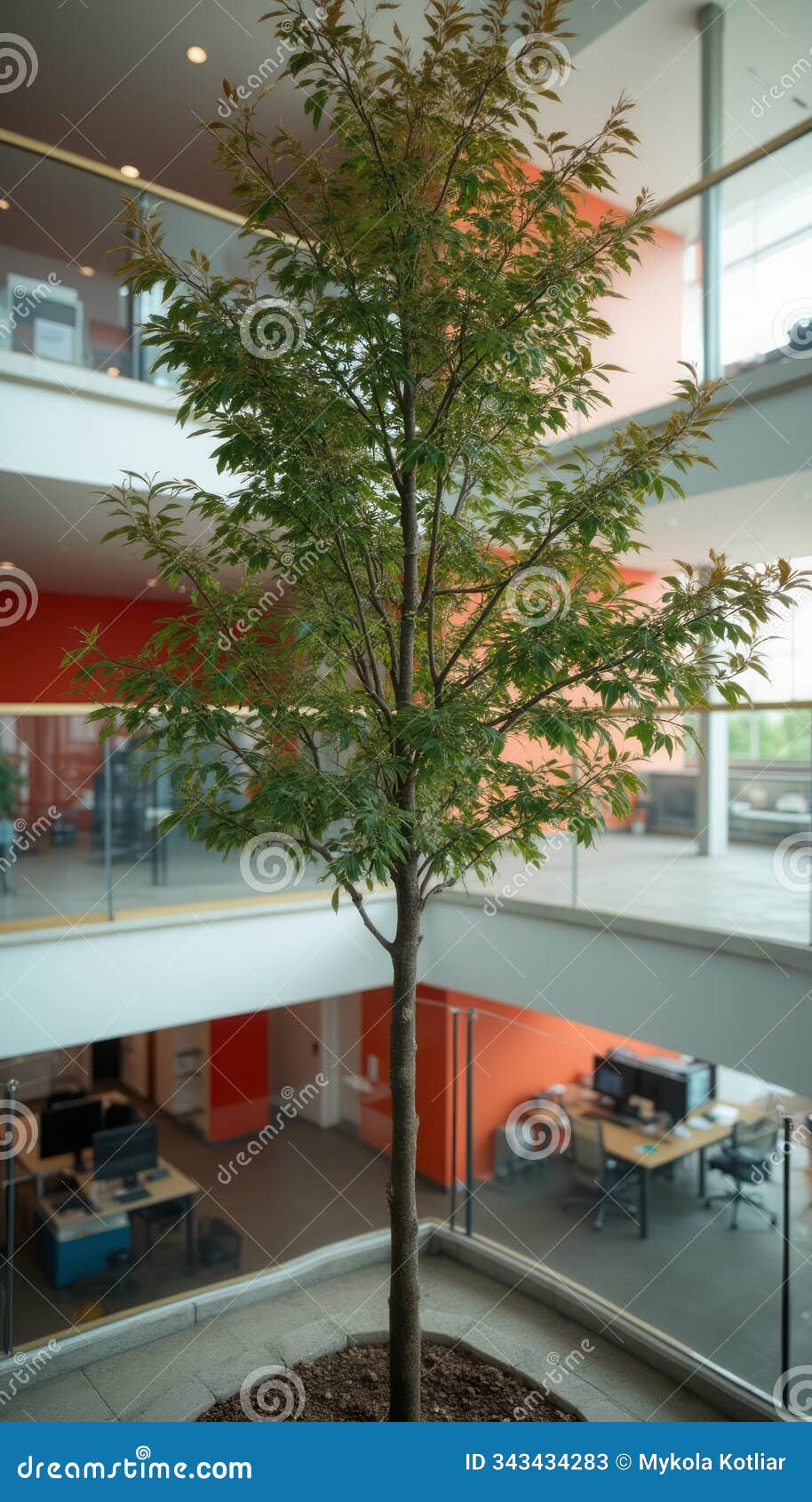 Indoor Tree in Modern Atrium Stock Image - Image of nature, design ...
