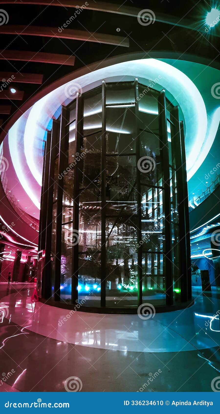 An Indoor Trees Inside of a Tube Made of Glass Stock Photo - Image of ...
