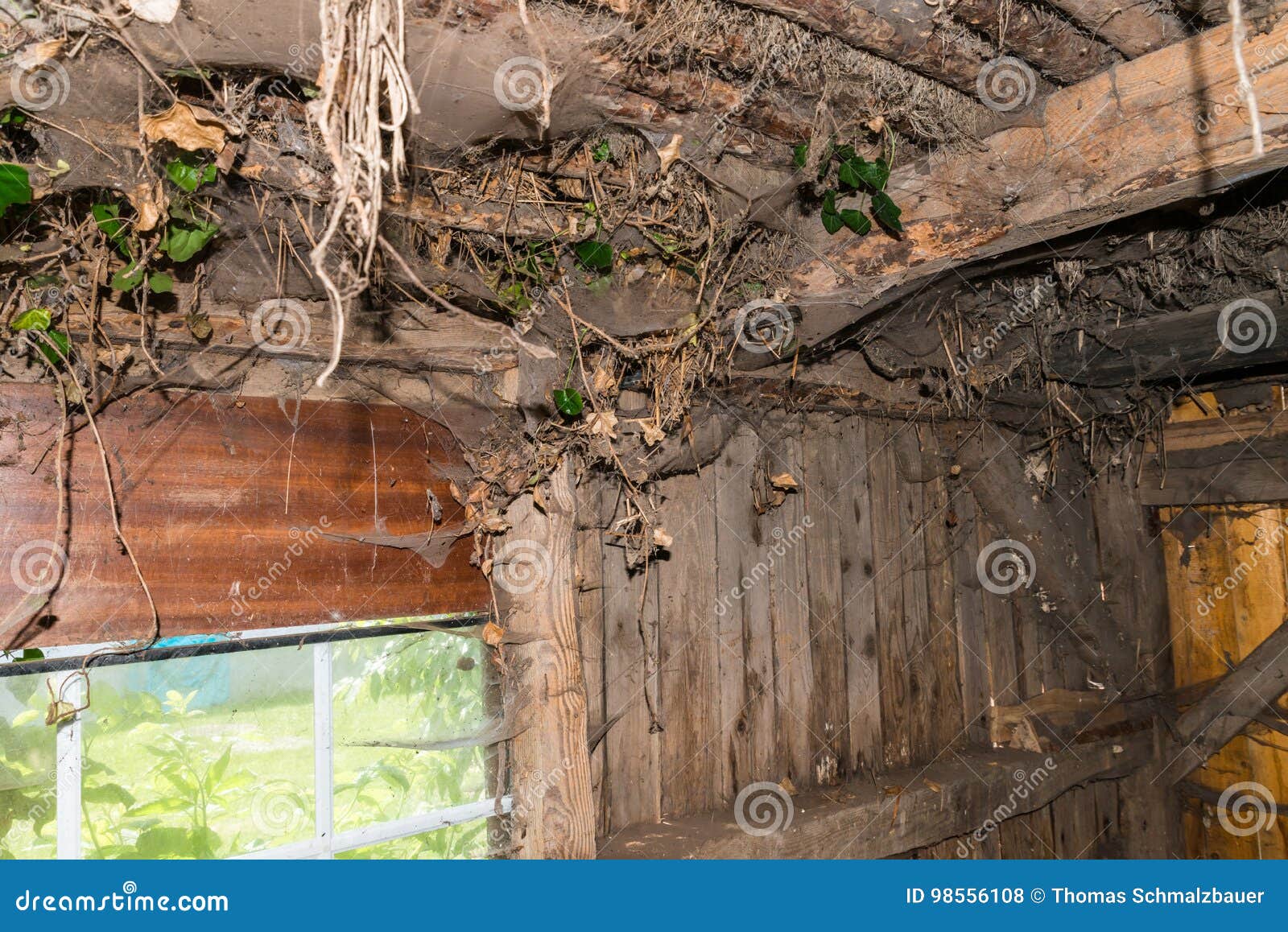 Indoor View of an Old Hog House Stock Photo - Image of pigsty, thatch ...