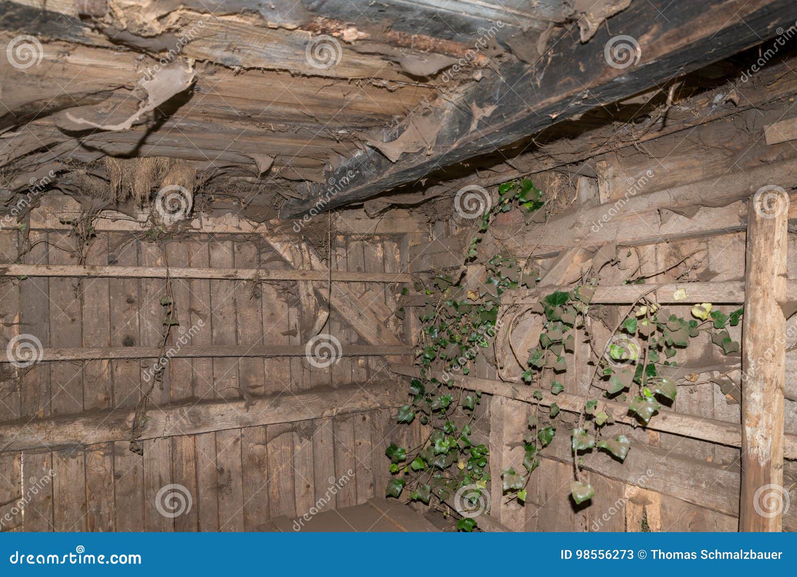 Indoor View of an Old Hog House Stock Image - Image of agriculture ...