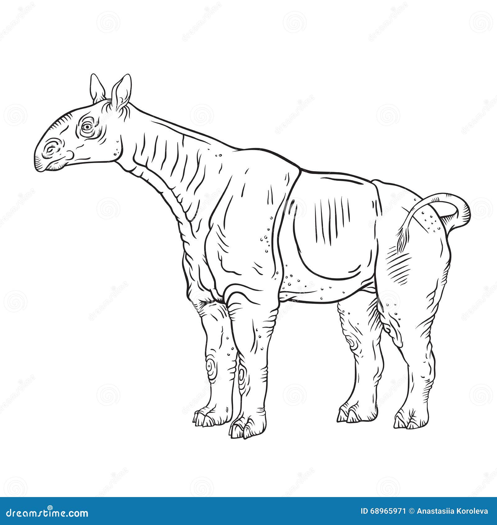 Eocene Paraceratherium Herd Royalty-Free Stock Photography ...