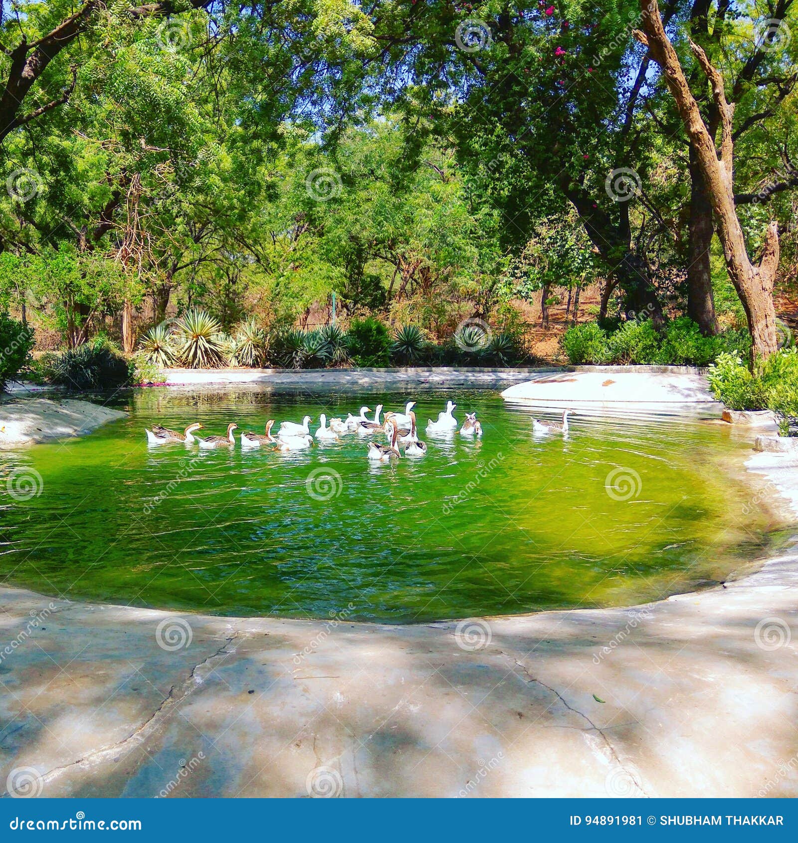 Indroda-Park stockbild. Bild von park, wald - 94891981