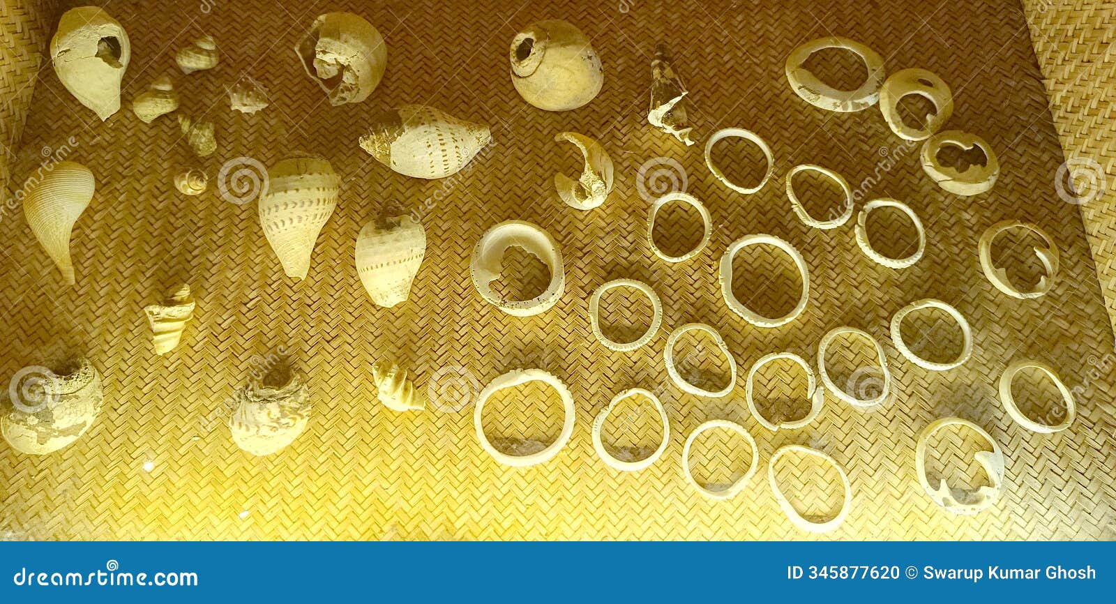 Ancient Indus Valley Civilization Conch Shell Bangles Hand Crafted ...