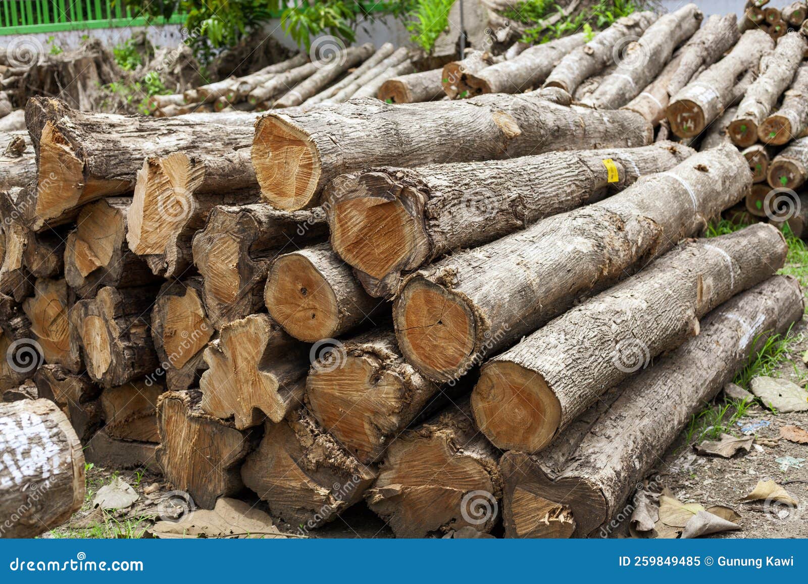 Industria Indonesia De Madera De Teca Imagen de archivo - Imagen de ...