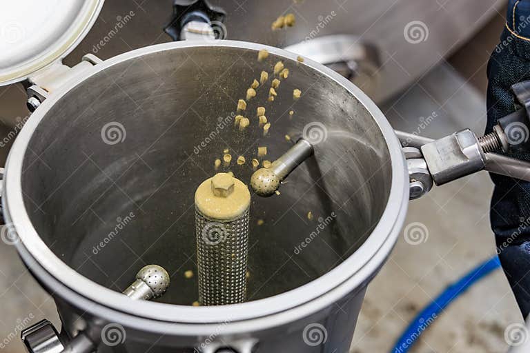 Industrial Beer Brewing Process in Action with Hops Addition Stock ...