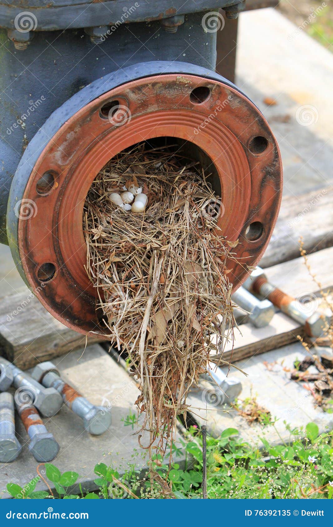 Industrial bird nest stock image. Image of pipe, industrial - 76392135