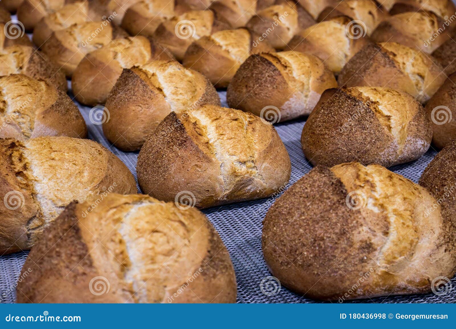 Industrial Bread Line Process Stock Photo - Image of industry, baked ...
