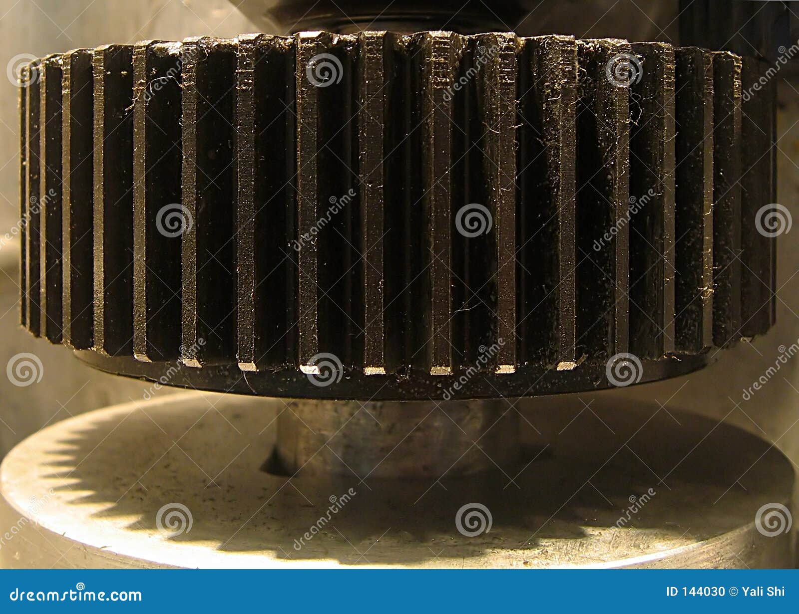 Industrial Cog Wheel stock photo. Image of round, industry - 144030