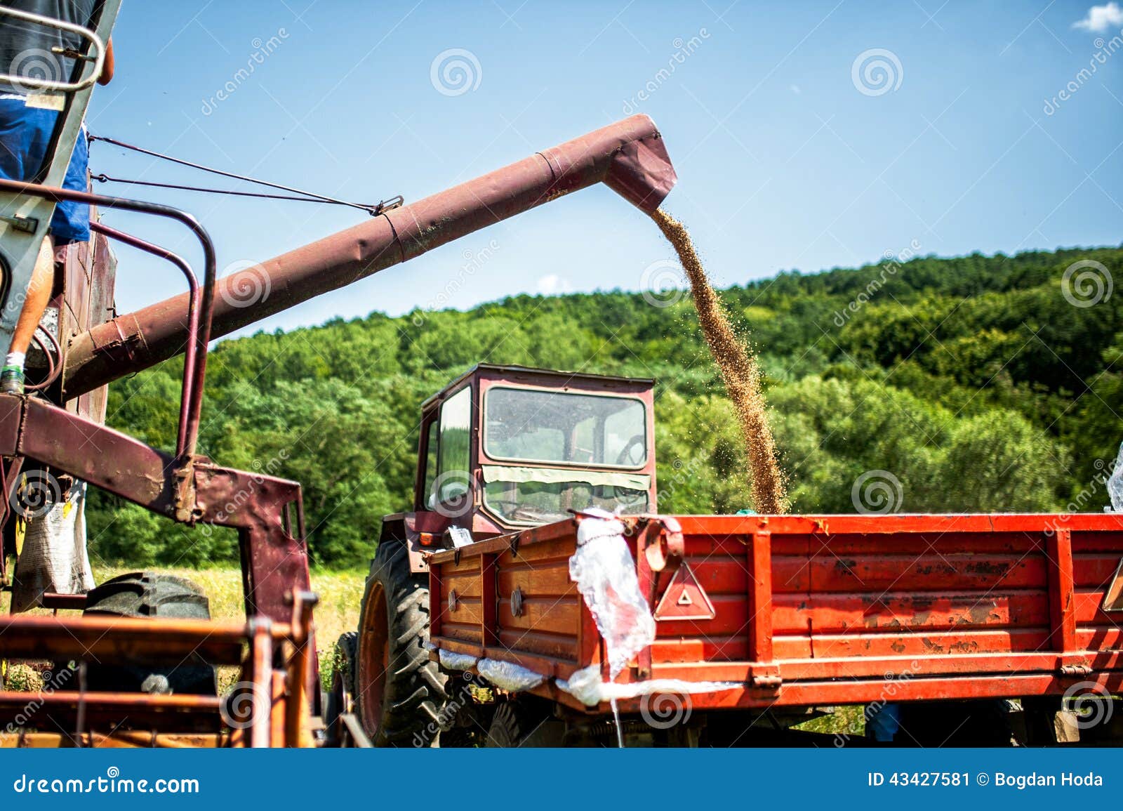 Industrial Combine Harvester Unloading Wheat Stock Image - Image of ...