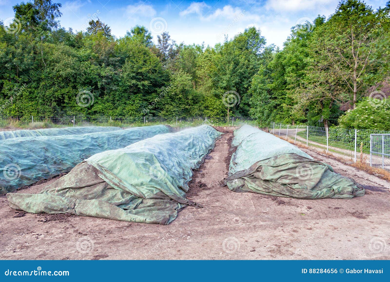 Industrial composting stock photo. Image of cultivated - 88284656