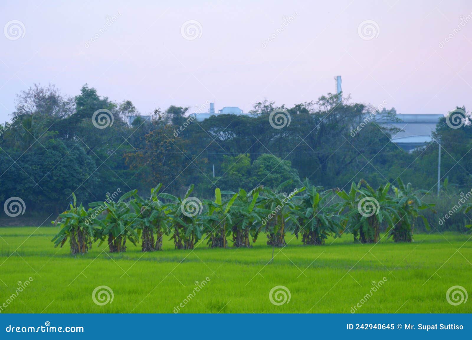 Industrial Factory in the Middle of Green Fields. Concept of Industrial ...
