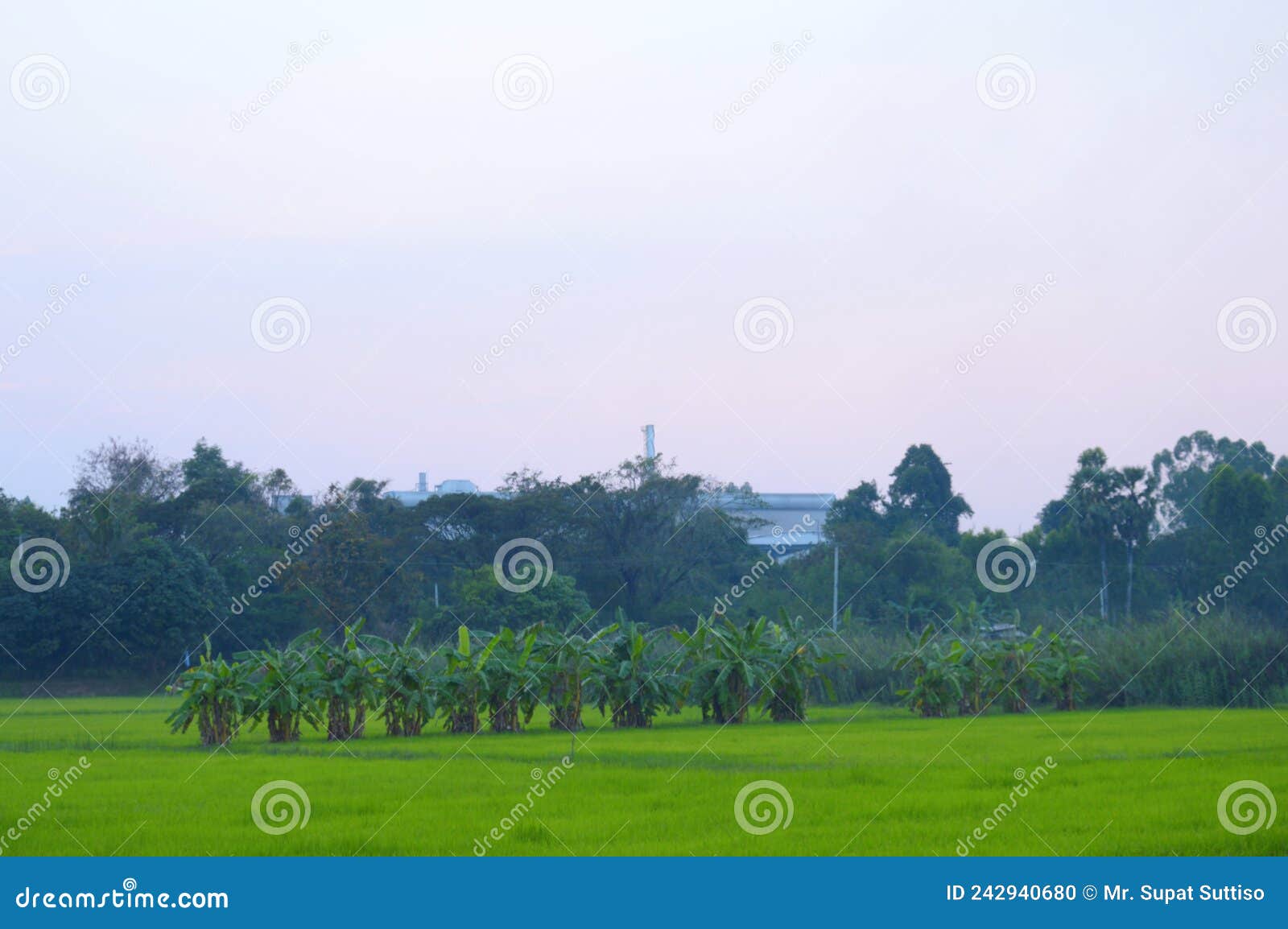 Industrial Factory in the Middle of Green Fields. Concept of Industrial ...