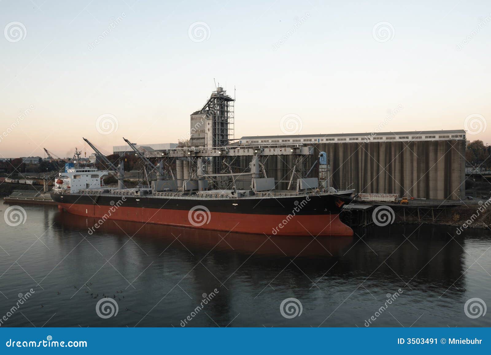 Grain Cargo Fully Loaded In The Bulk Carrier Ship Royalty-Free Stock ...